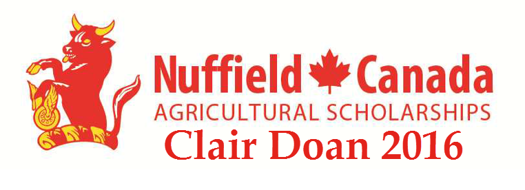“The Why” | Clair Doan Nuffield Scholar