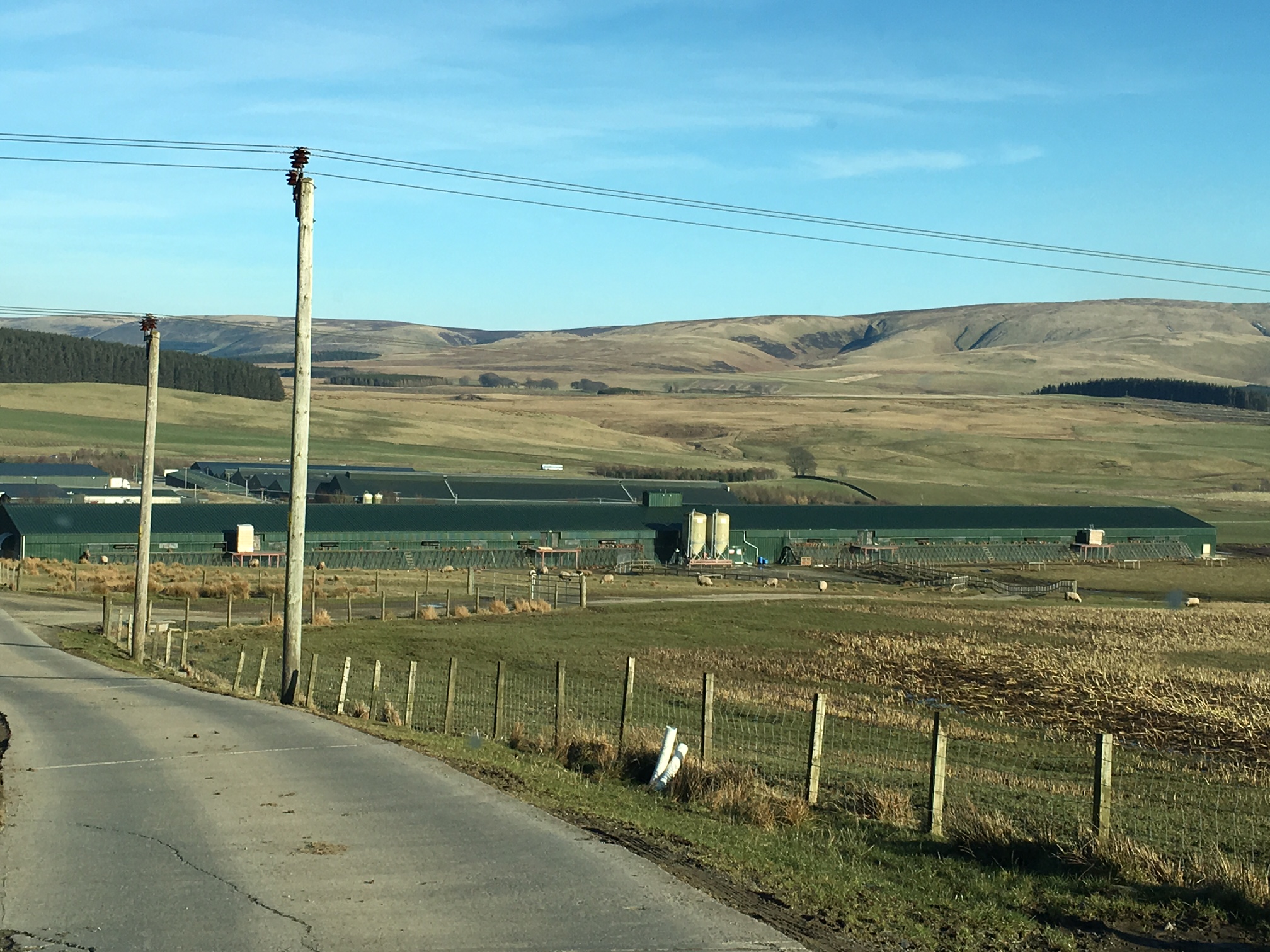 Scotish Egg Farm | Clair Doan Nuffield Scholar