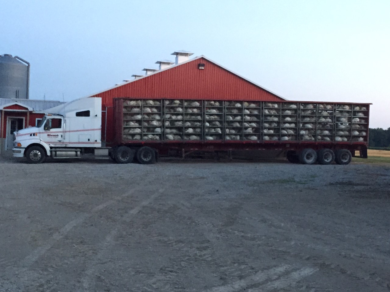 turkey-truck | Clair Doan Nuffield Scholar